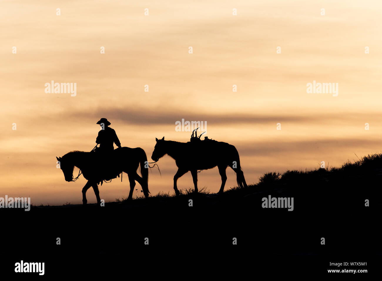 Silhouetted cowboy and horse hi-res stock photography and images - Alamy