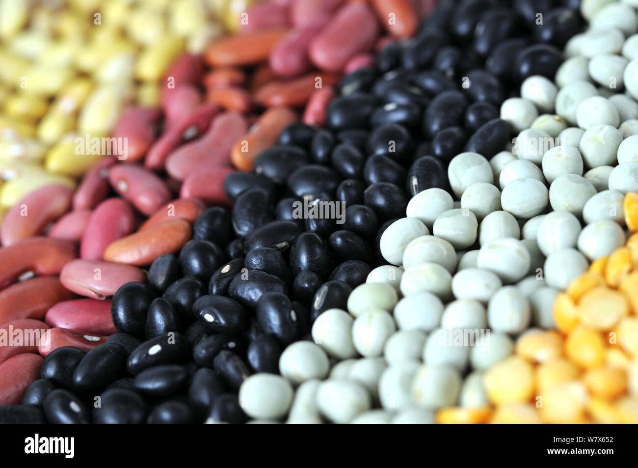 mix of many kind of beans for background uses Stock Photo - Alamy