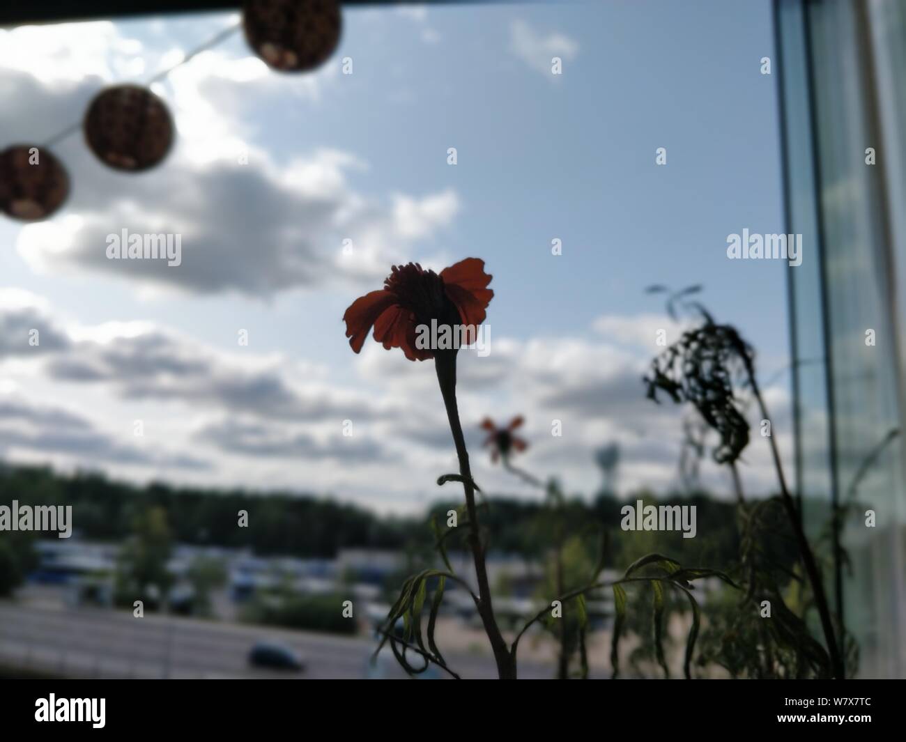 Summer Helsinki 2019 Stock Photo - Alamy