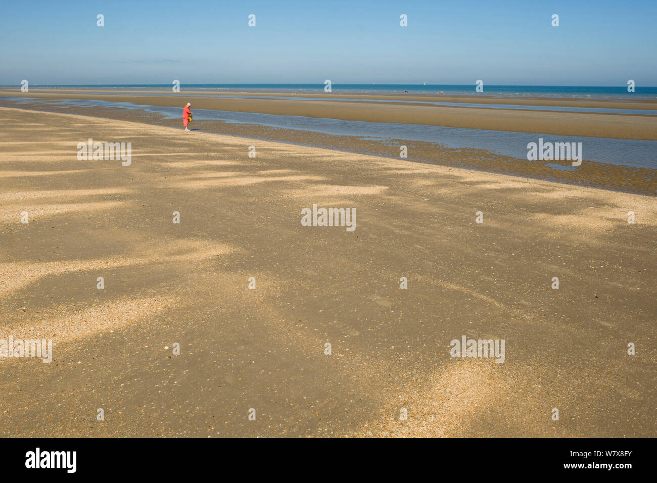 walk along the sea on a Belgian beach during the summer in De Panne ...