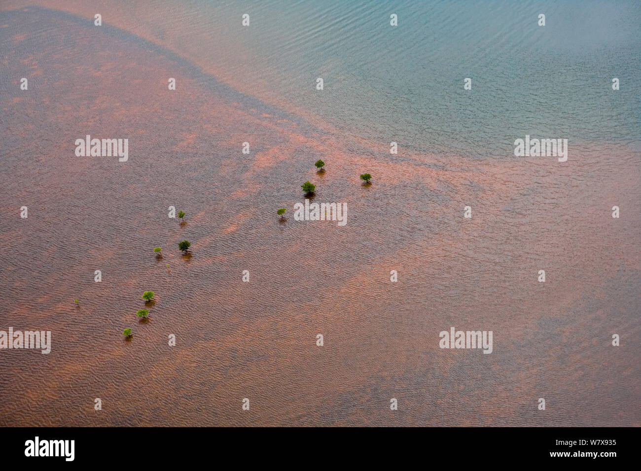 Aerial view of mangroves in lagoon, New Caledonia. Pacific Ocean Stock ...