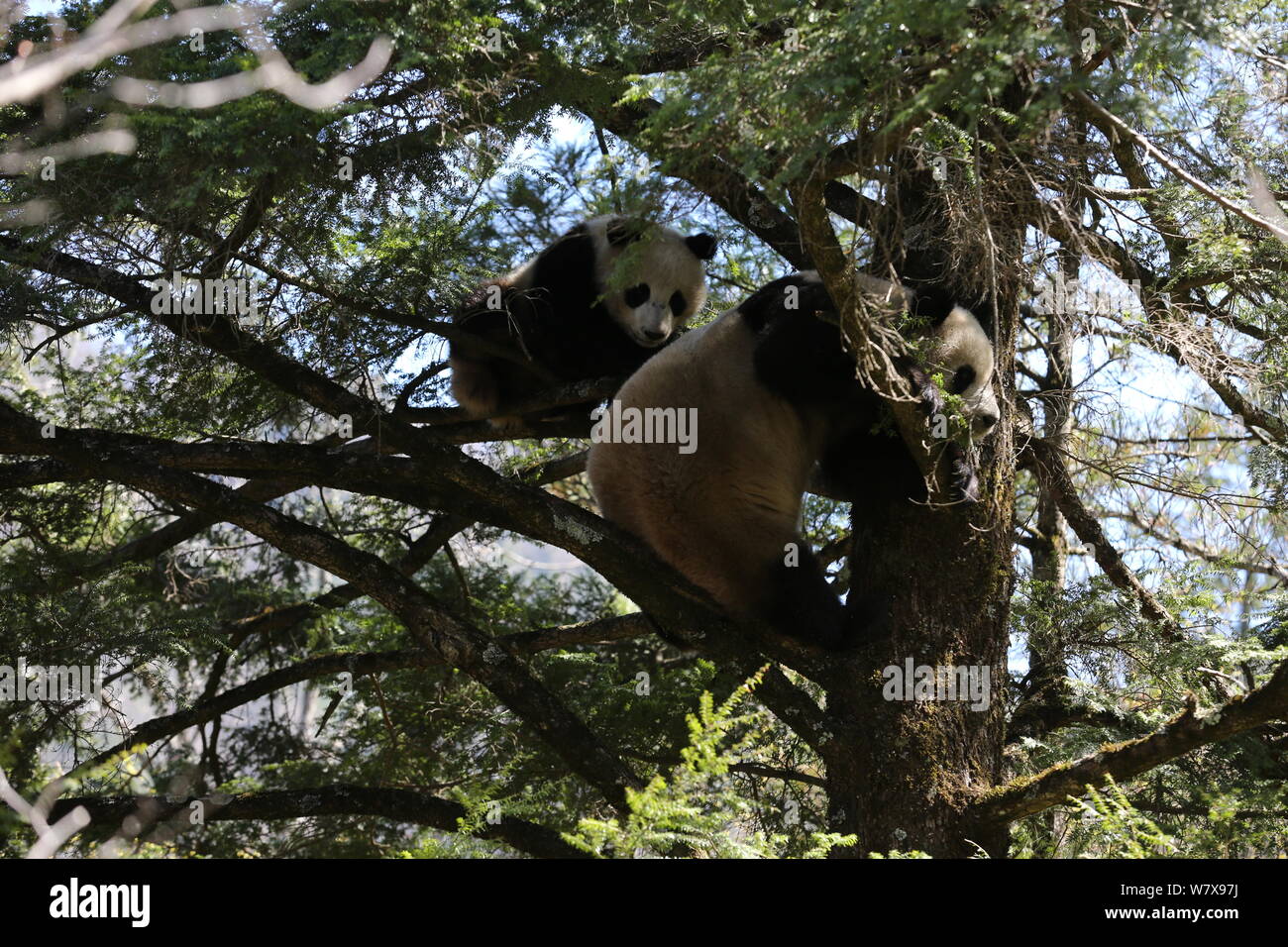 Foping county hi-res stock photography and images - Alamy