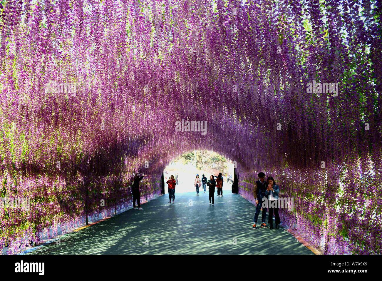 Tourists visit corridor decorated hi-res stock photography and images ...