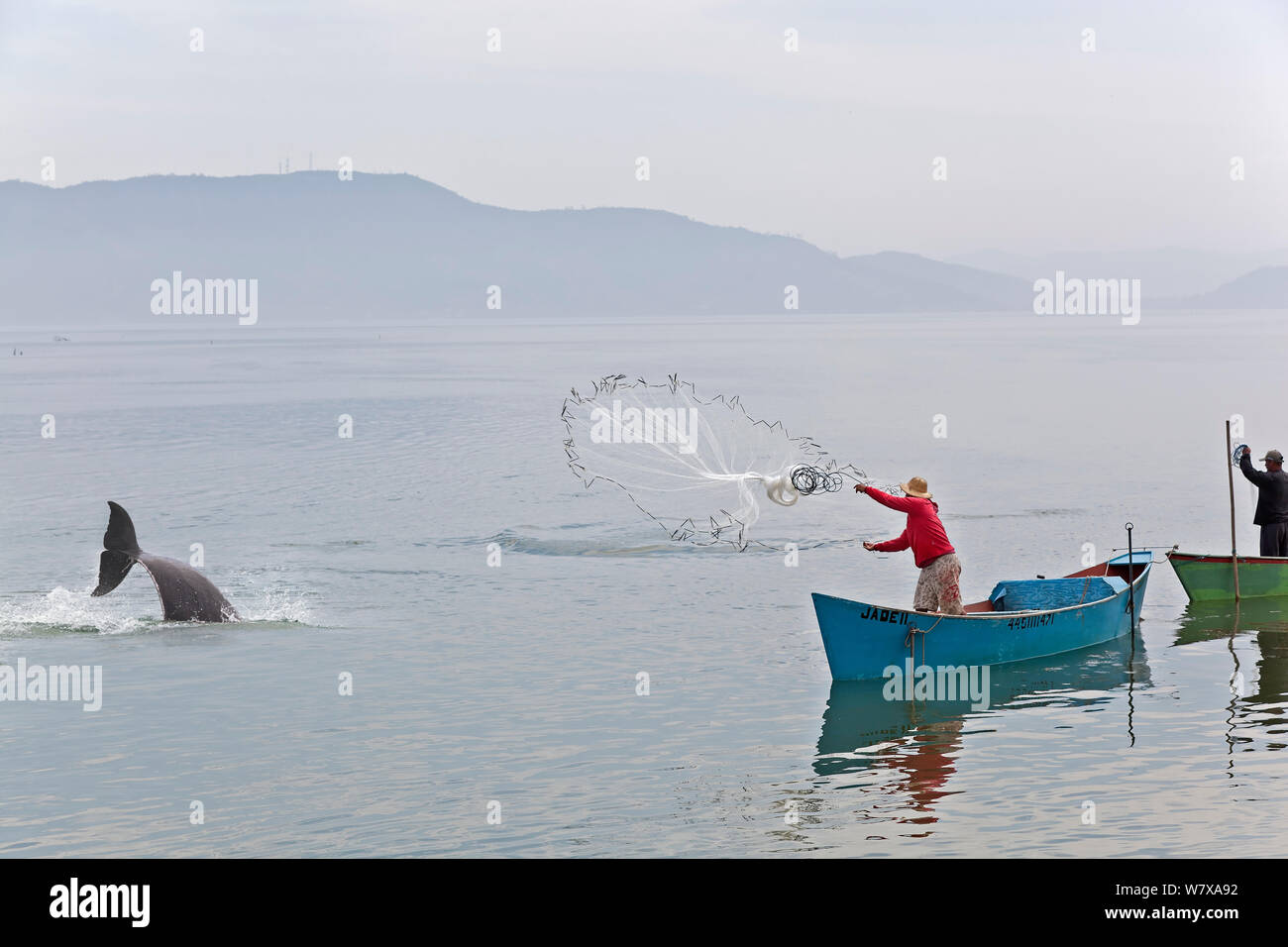 Dolphin net hi-res stock photography and images - Alamy