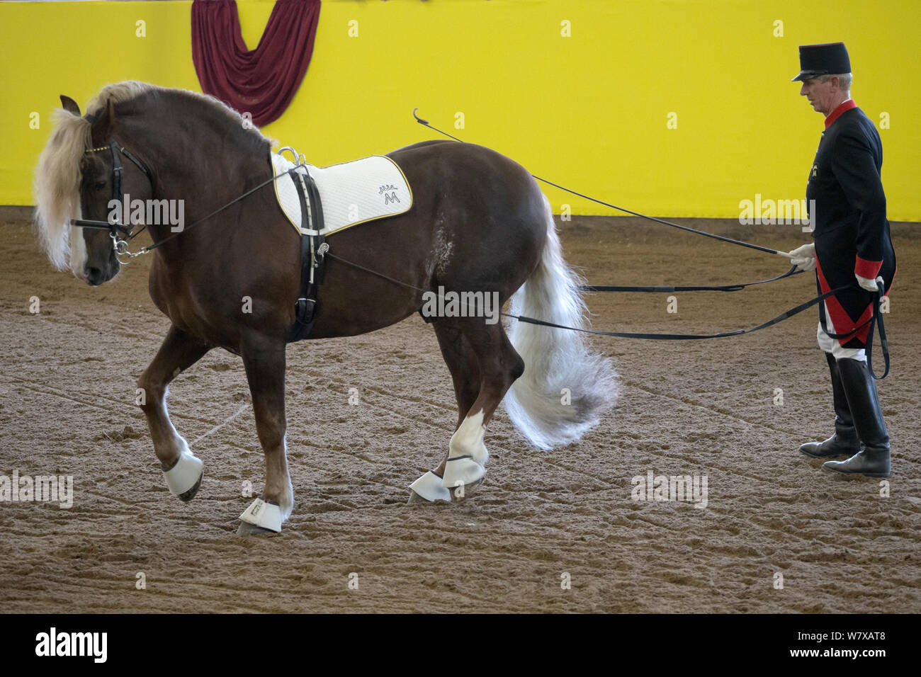 Elegant uniforms hi-res stock photography and images - Alamy