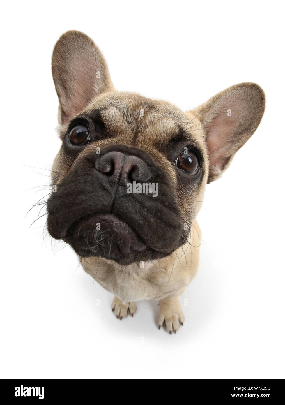 Elevated view looking down Cut Out Stock Images & Pictures - Alamy