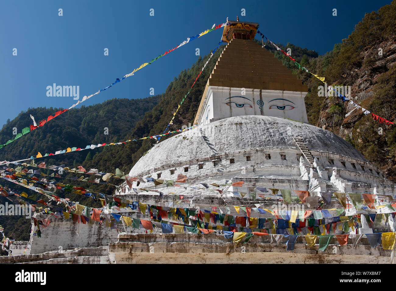 Gorsam hi-res stock photography and images - Alamy