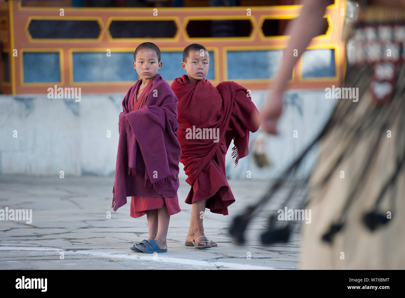 Young monks watching Zamcham (one of the monastic dances). This dance ...