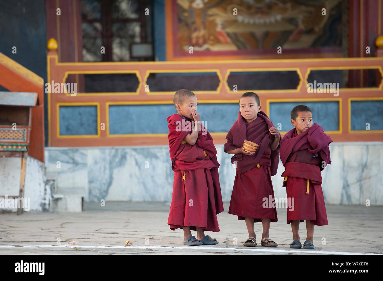 Young monks watching monastic dance during Torgya festival. Galdan ...