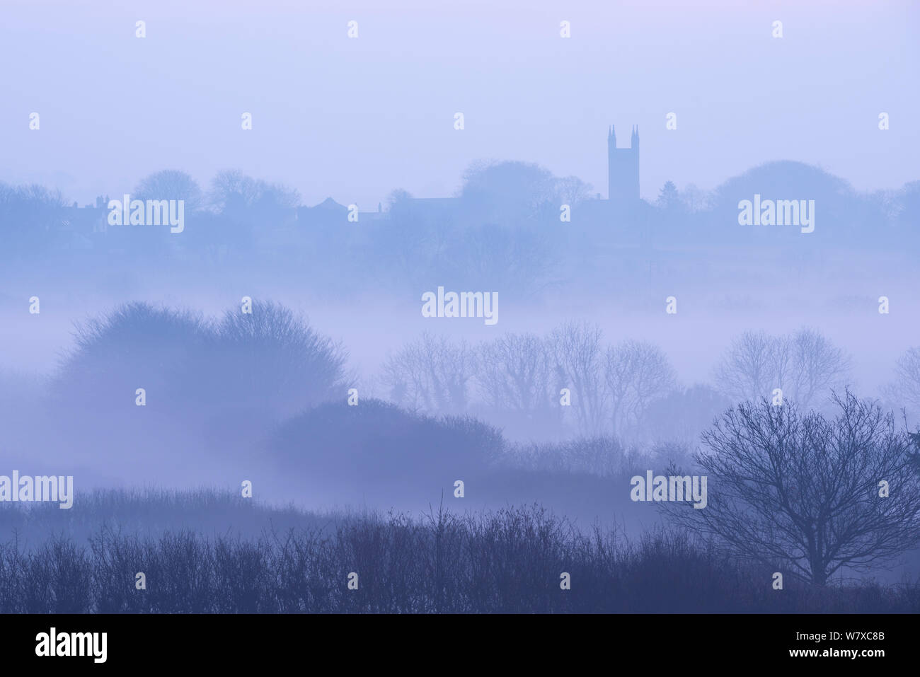 Bradworthy Church in the early morning mist, North Devon, UK. March ...