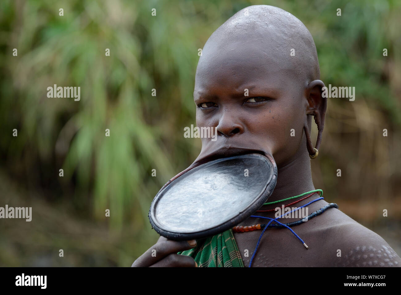 Portrait of Suri / Surma woman wearing lip plate in her lower lip. Omo ...