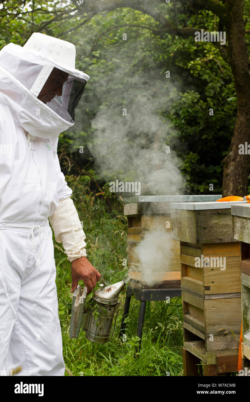 Beekeepers suit hi-res stock photography and images - Alamy