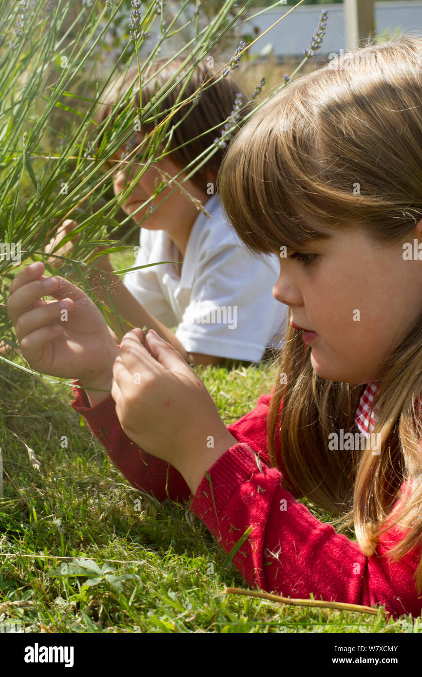 Attract children hi-res stock photography and images - Alamy