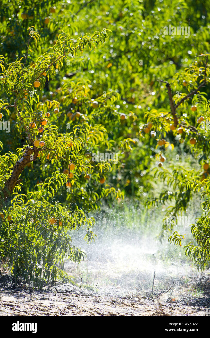 Water infrastructure south africa hi-res stock photography and images ...