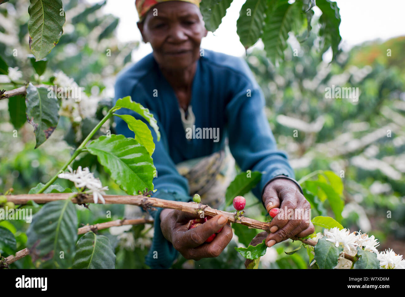 East african family crops hi-res stock photography and images - Alamy