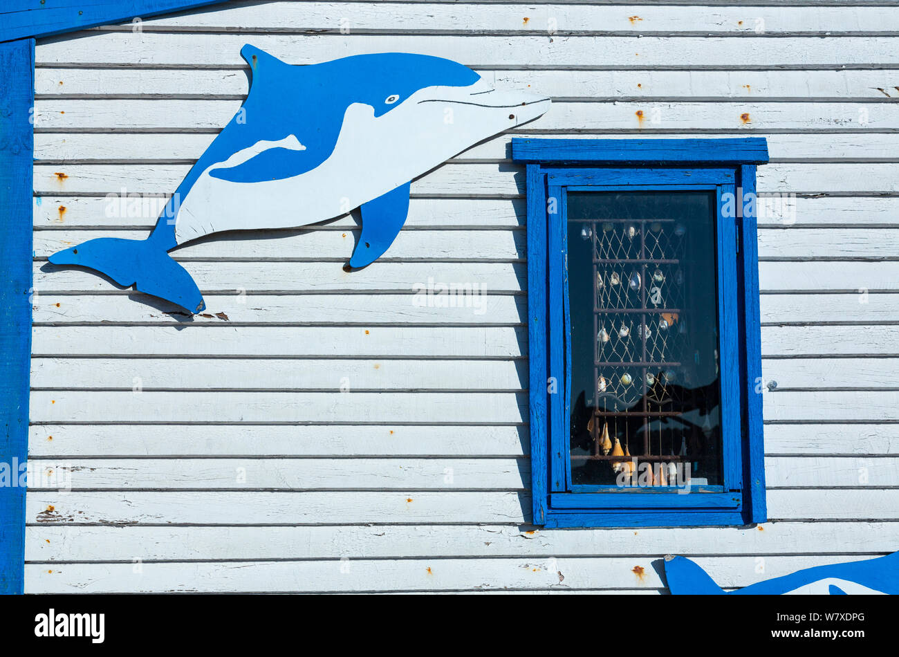 Cartoon dolphins attached to side of building, Lambert's Bay, Western ...