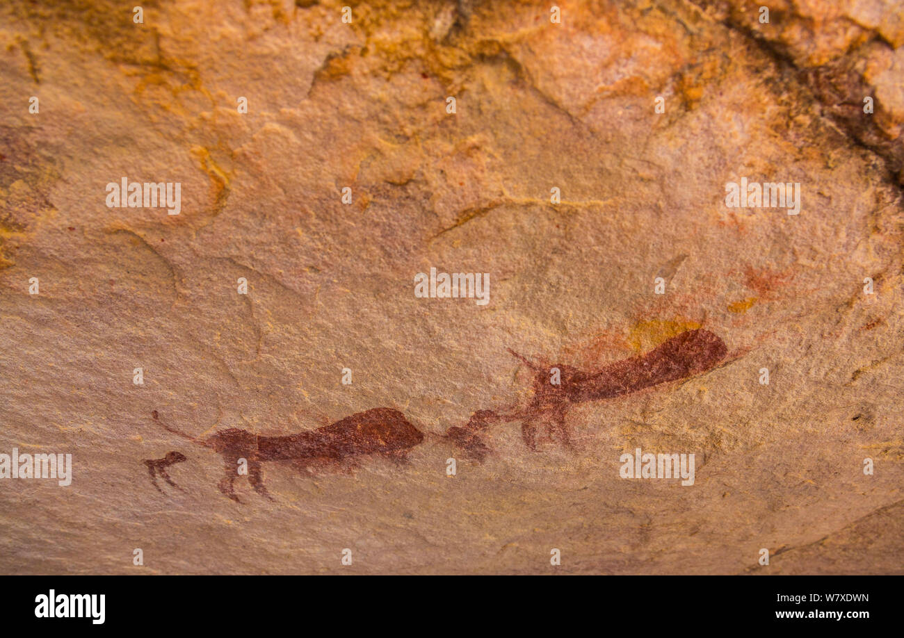 Bushman drawings hi-res stock photography and images - Alamy