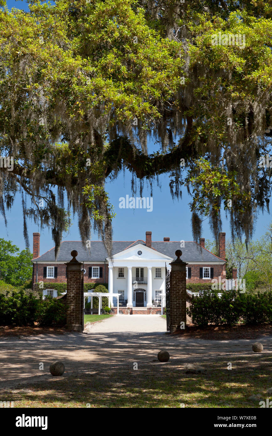 Southern Plantations