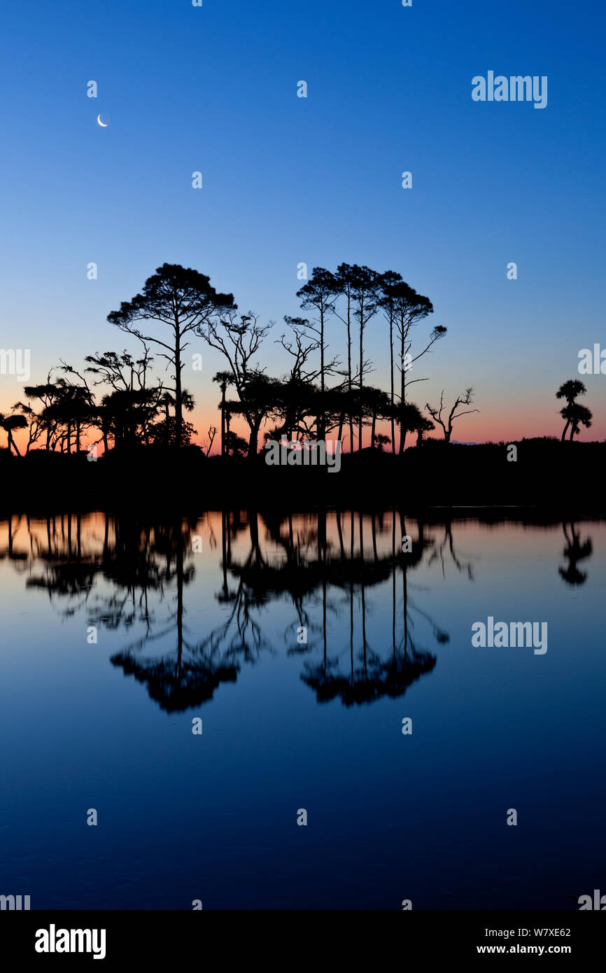 Moon and sunrise over the lagoon at Hunting Island State Park, South ...