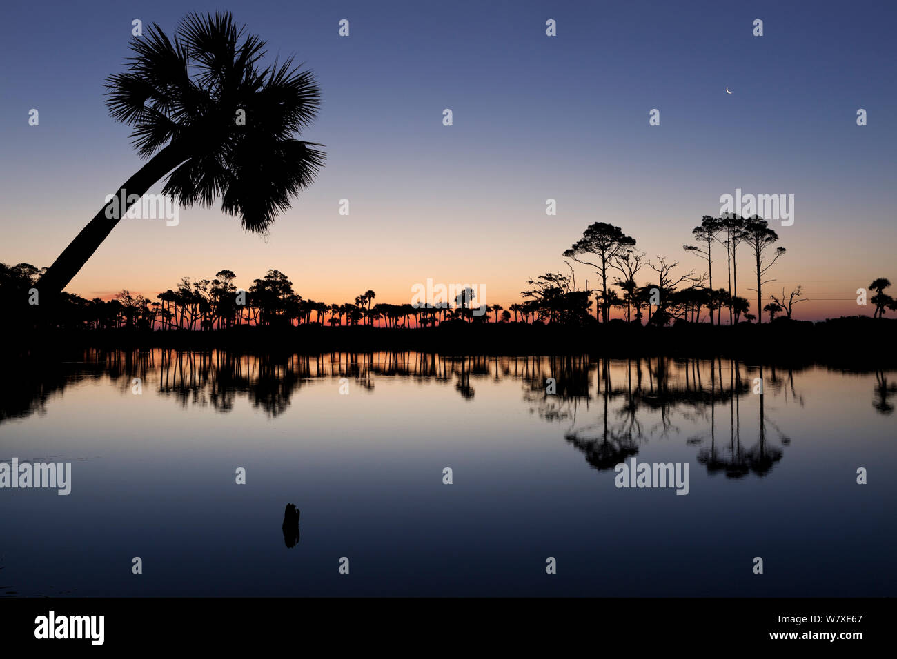 Moon and sun rise over the lagoon at Hunting Island State Park, South ...