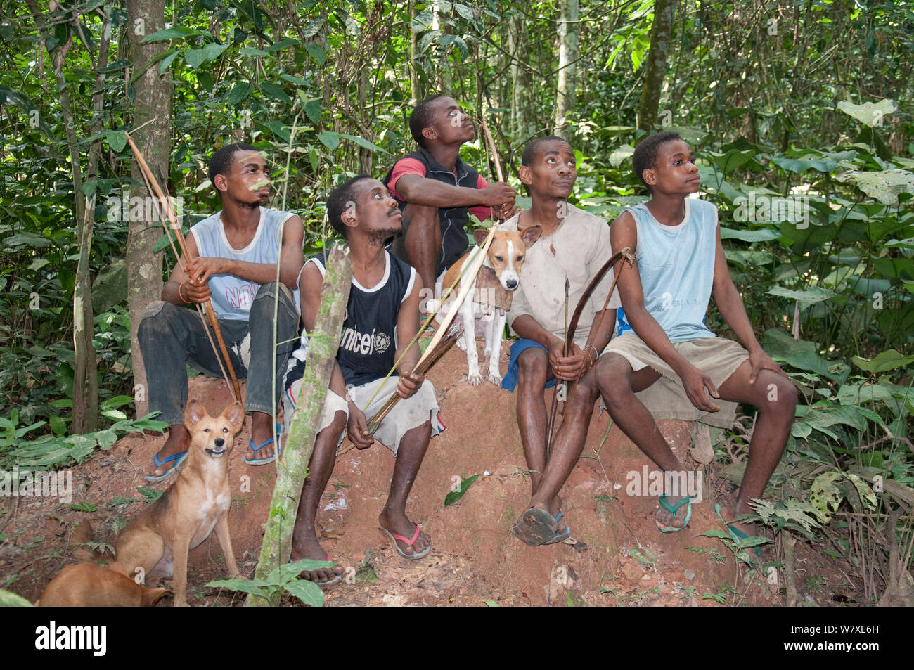 Pygmies congo hi-res stock photography and images - Alamy