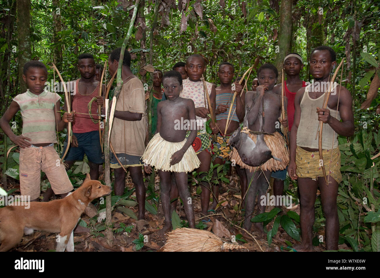 Mbuti pygmy initiation hunt, with two boys in traditional blue body ...