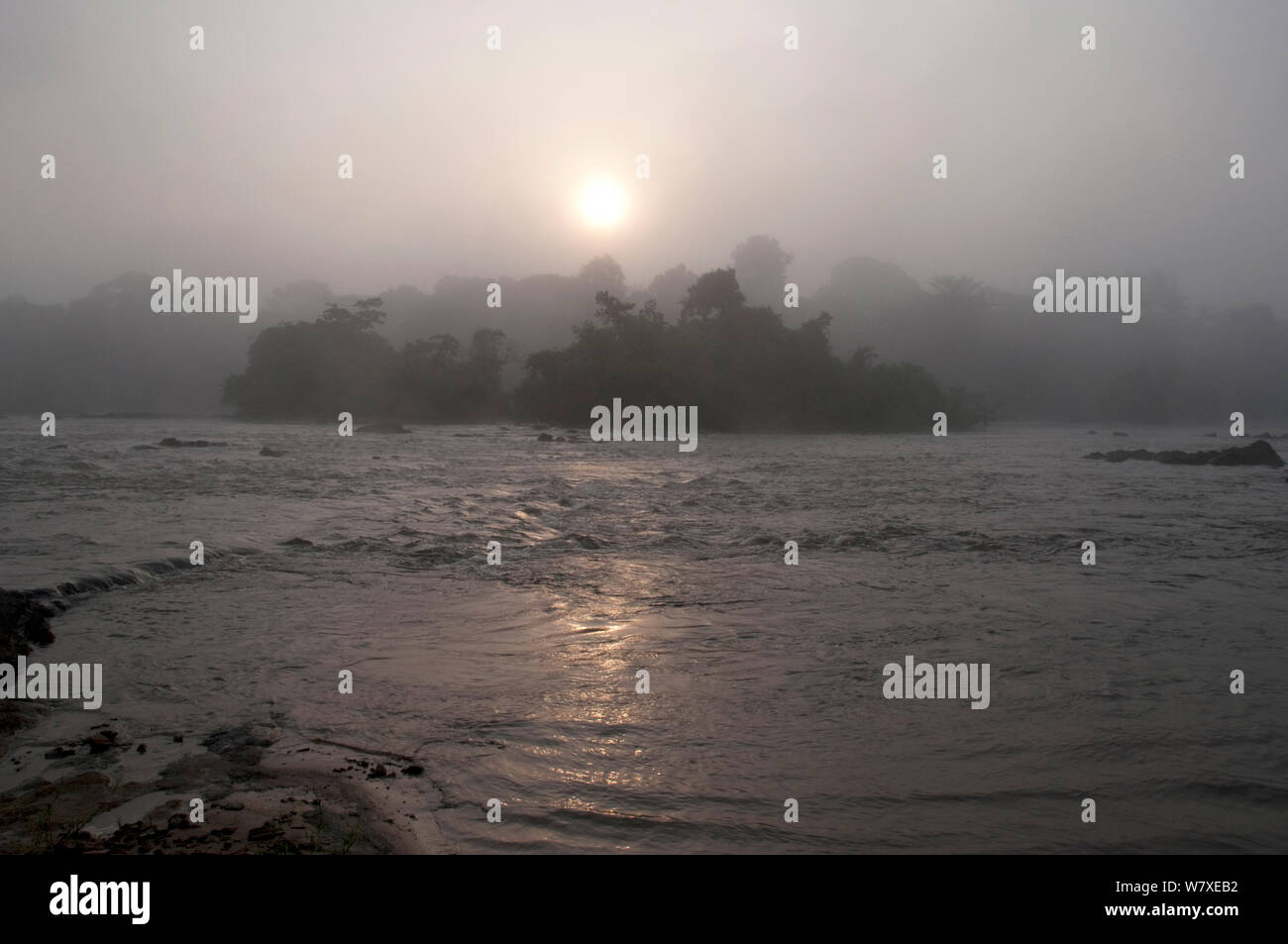 Congo rainforest river hi-res stock photography and images - Alamy