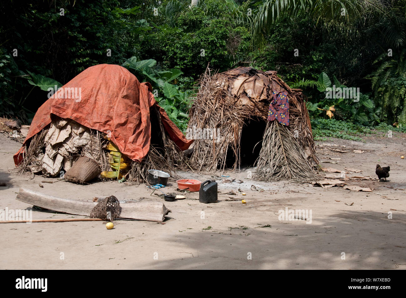 Mbuti hi-res stock photography and images - Alamy