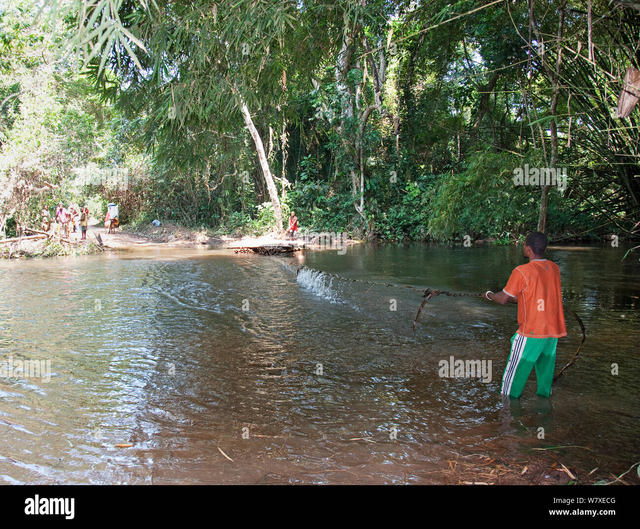 Mongo porters pulling a raft across river, Democratic Republic of the ...