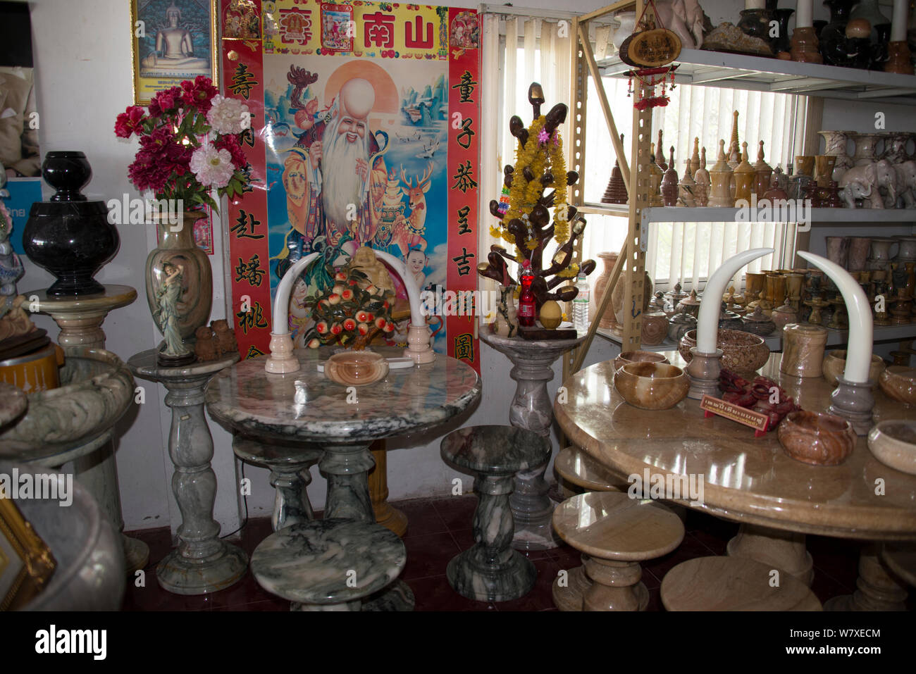 False tusk hi-res stock photography and images - Alamy