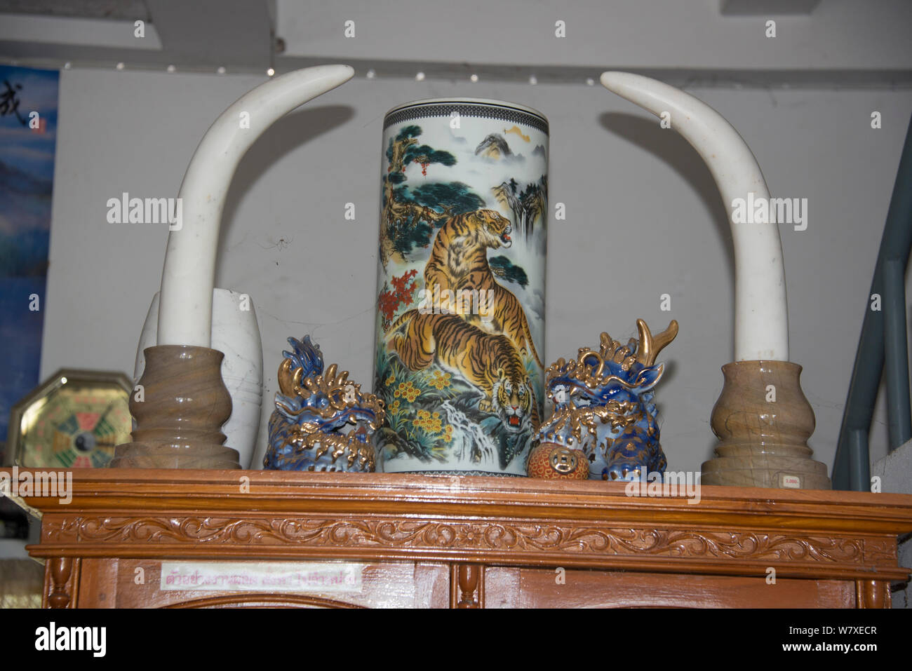 Fake ivory tusks made from soap stone in shop, Nakhon Sawan, Thailand ...