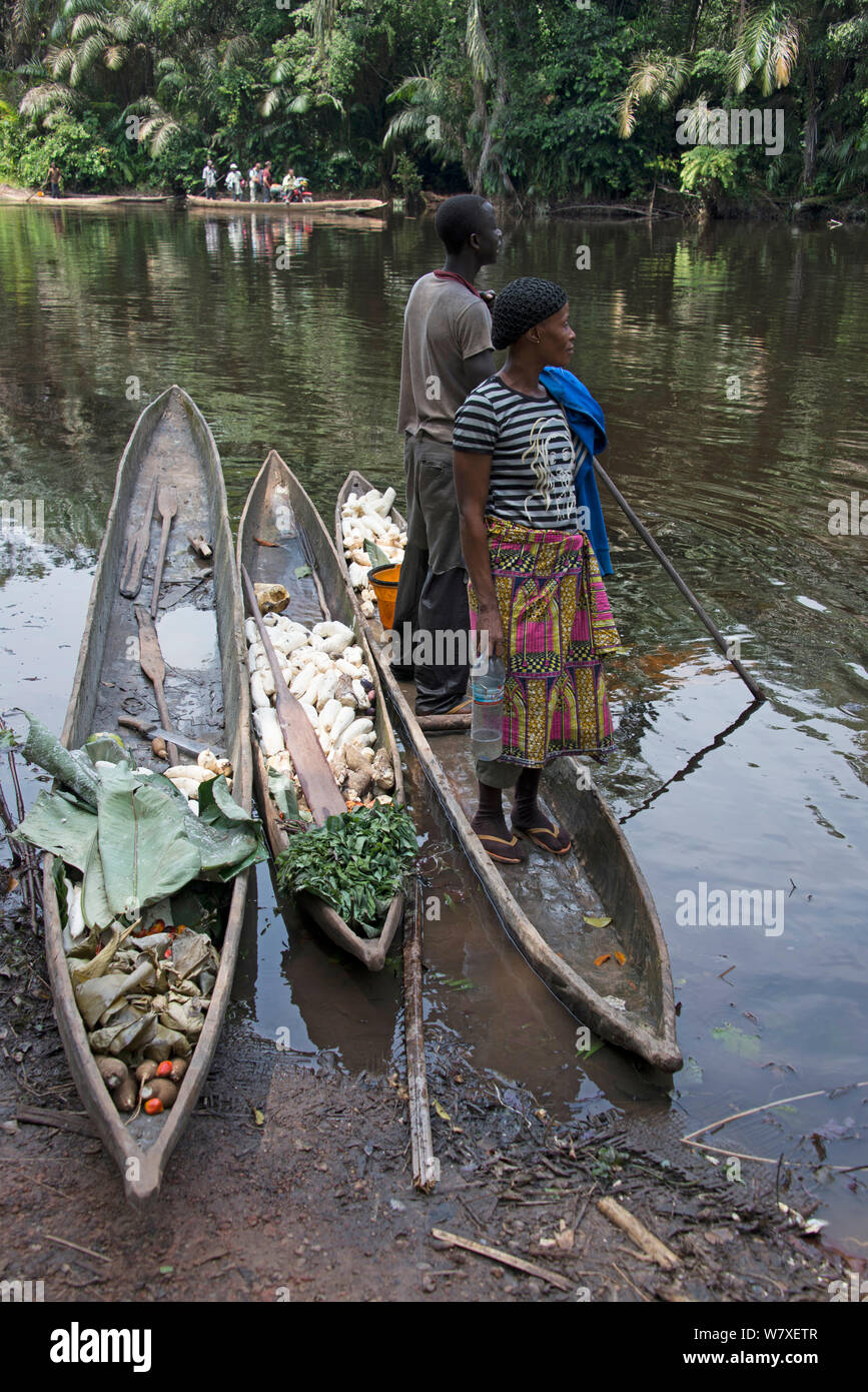 Men with vegetables in dugout wooden canoes on riverbank, Monkoto ...