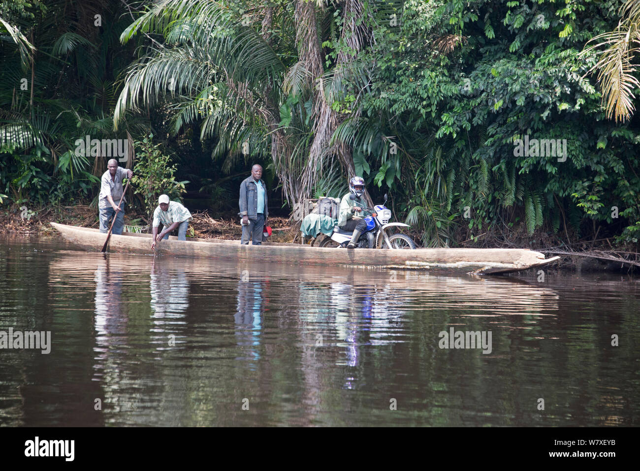 Salonga national park drc hi-res stock photography and images - Alamy