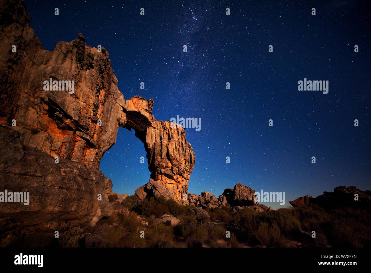 Wolfberg hi-res stock photography and images - Alamy