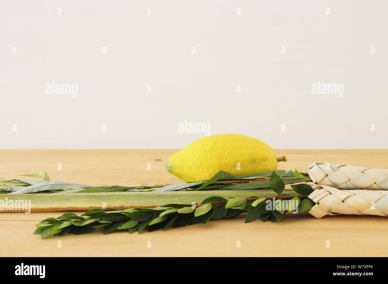 Jewish festival of Sukkot. Traditional symbols (The four species ...