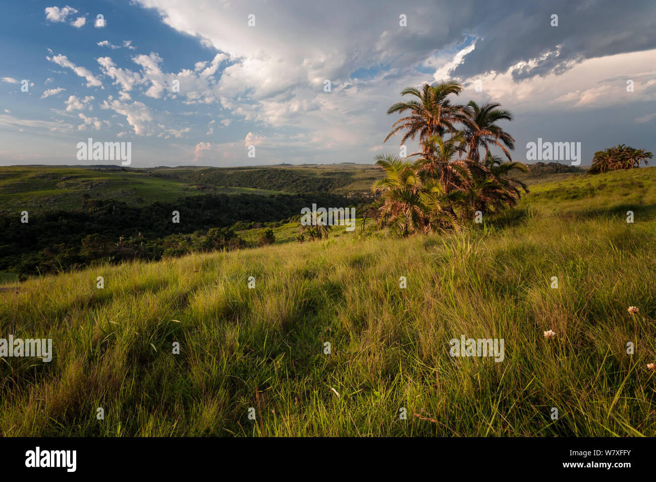 Pondoland hi-res stock photography and images - Alamy