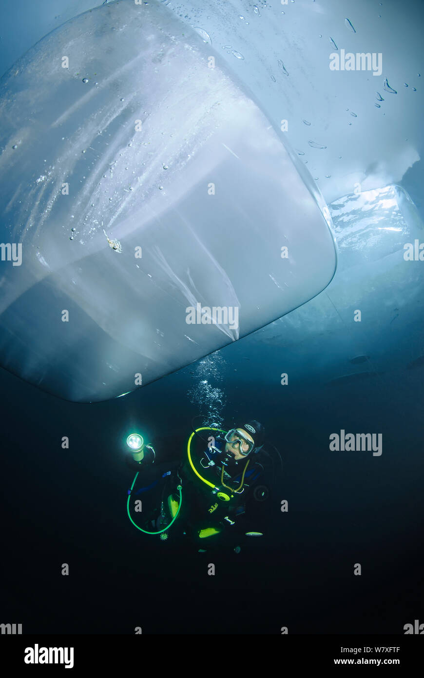 Ice diver diving into frozen lake hi-res stock photography and images ...