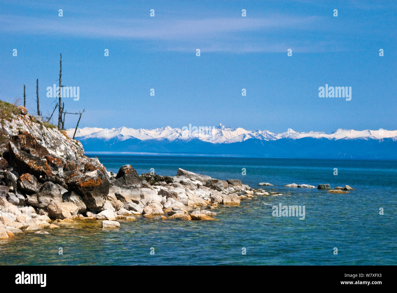 Ushkanyi islands, breeding grounds of the Baikal seal (Pusa sibirica ...