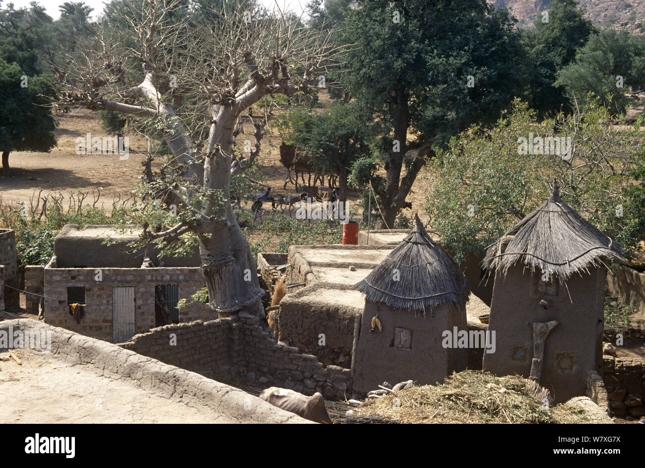 Buildings in Dogon rural village. Mali, 2005-2006 Stock Photo - Alamy