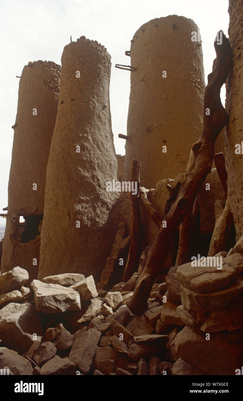 Dogon mud grain silos. Mali, 2005-2006 Stock Photo - Alamy