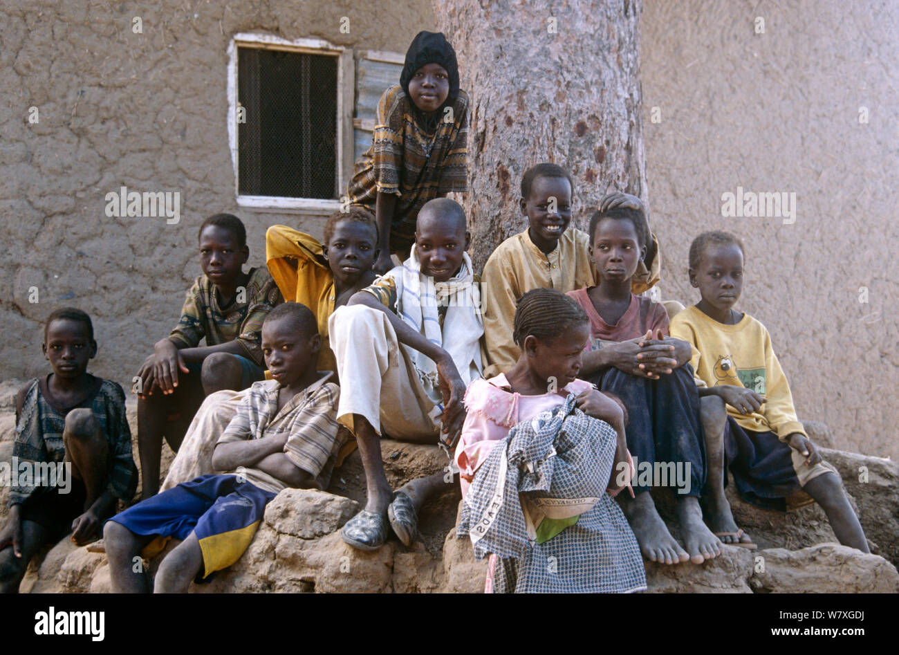 Village children congregating under tree. Chad, 2002-2003 Stock Photo ...