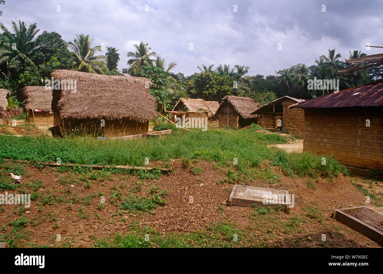 Huts in Kailahun, close to the Gola forest. Sierra Leone, 2004-2005 ...