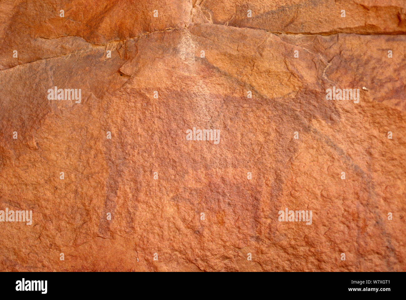 Ancient rock painting of animal figure, Guilemsi, central Mauritania ...