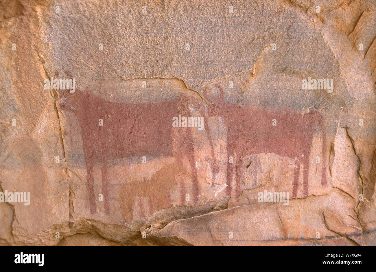 Mauritania rock in desert hi-res stock photography and images - Alamy