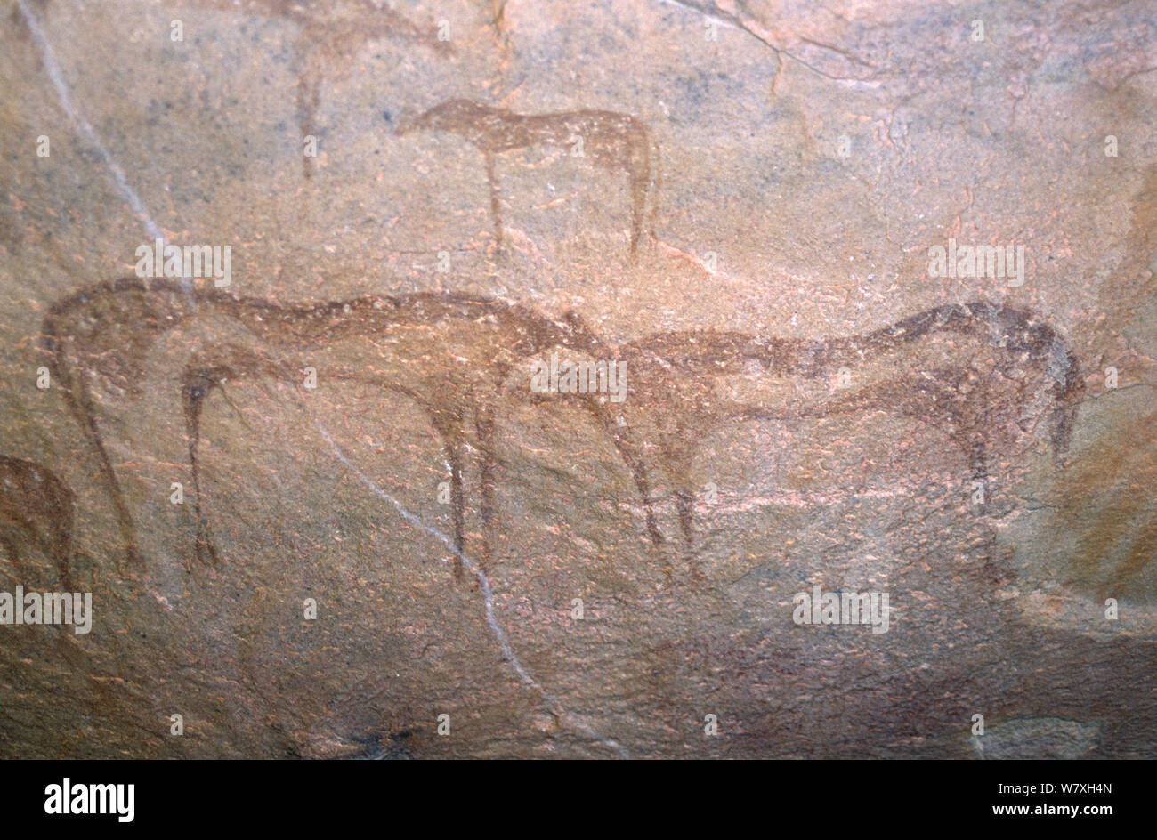 Mauritania rock in desert hi-res stock photography and images - Alamy