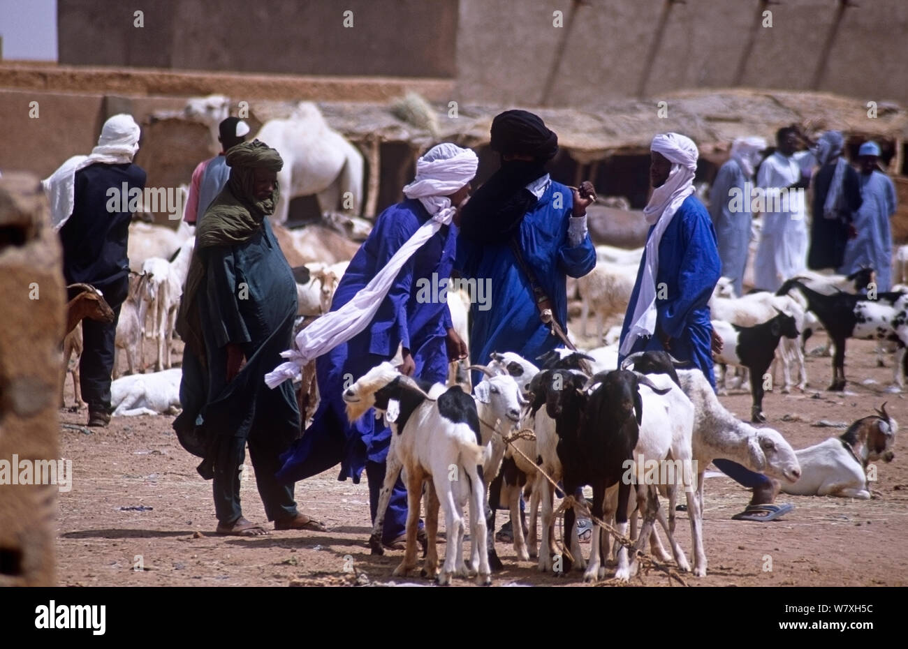 Niger west africa agadez tuareg hi-res stock photography and images - Alamy