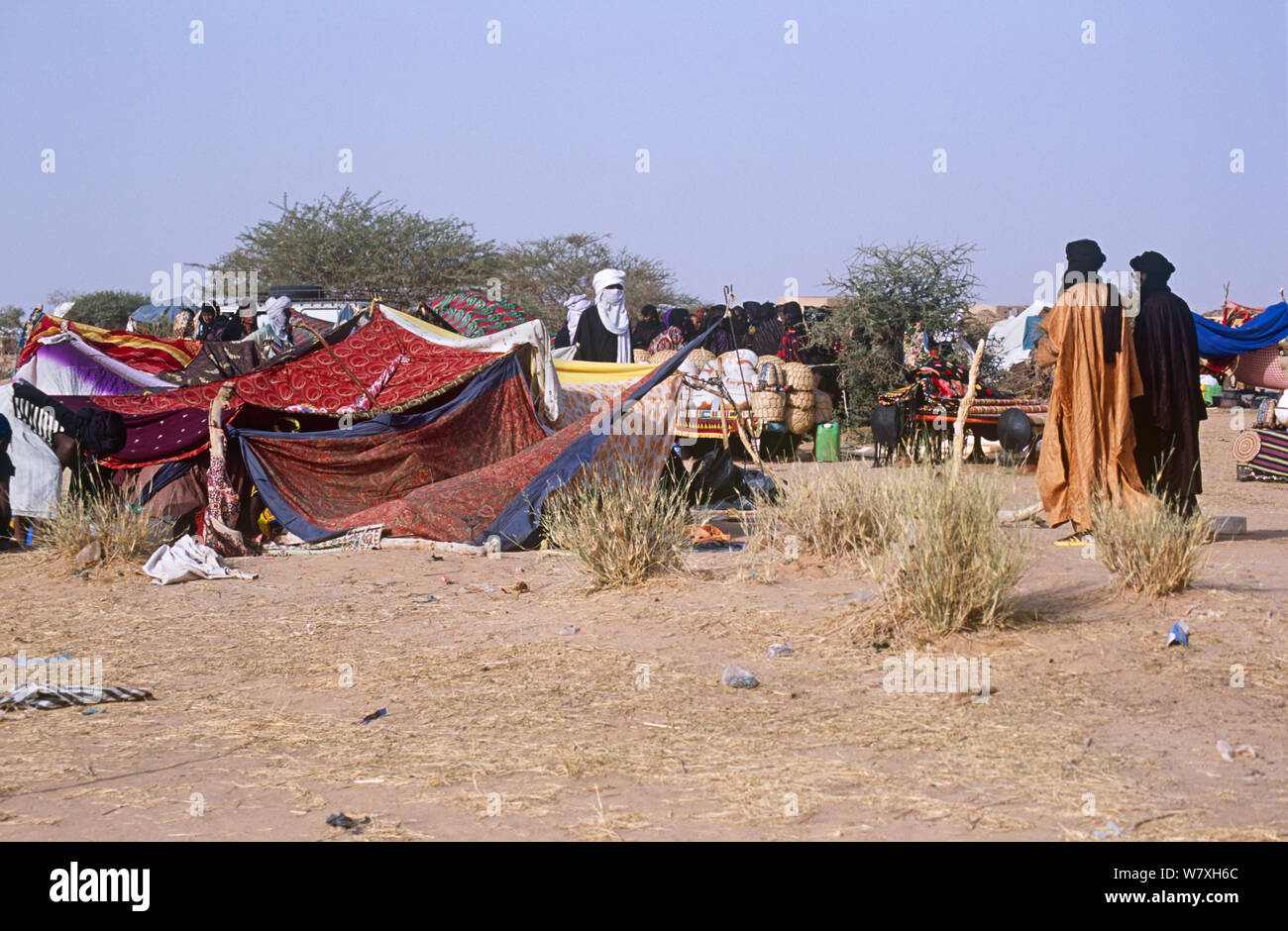 Peul / Fula people gathering for ritual ceremonies, Agadez region ...