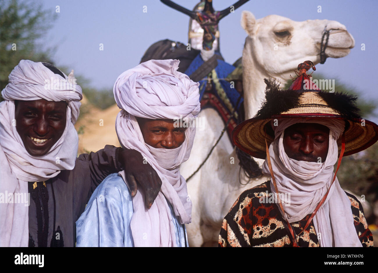 Men watching with camel watching traditional Peul / Fula ceremony ...