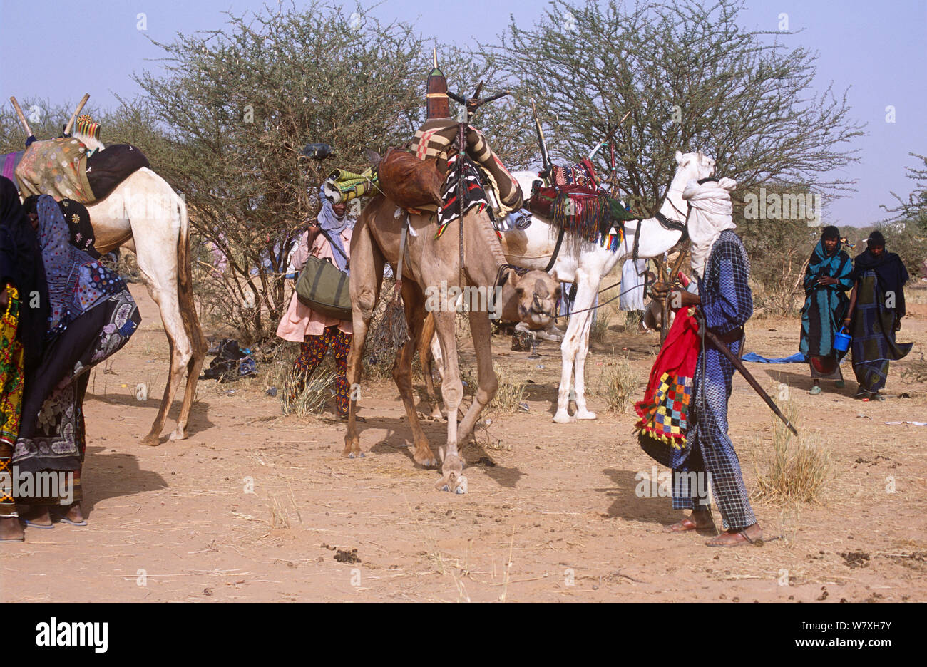 Fula people hi-res stock photography and images - Alamy