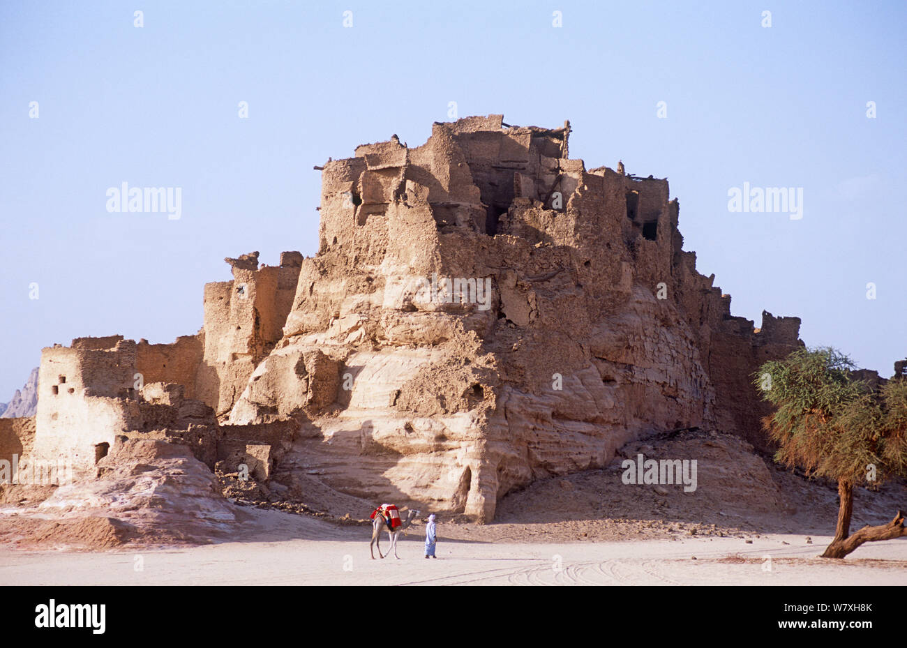Libya desert trail hi-res stock photography and images - Alamy